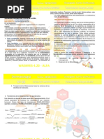 Articulación Coxofemoral | PDF | Rodilla | Anatomía