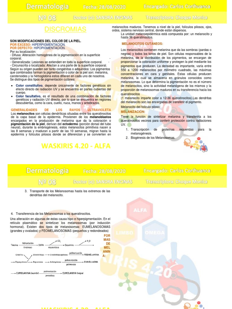 Discromías y Melanocitos: Guía Clínica | PDF | Piel | Color de piel humana