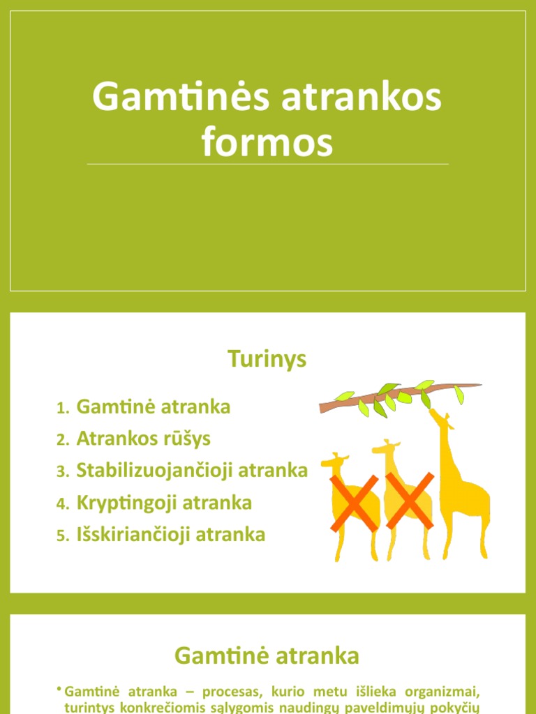 Gamtinės Atrankos Formos | PDF