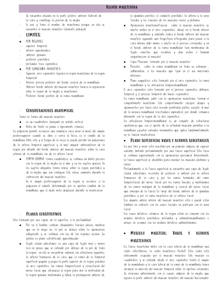 Region Maseterina | PDF | Articulación | Anatomía humana