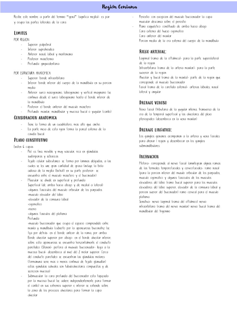 Region Geniana | PDF | Anatomía humana | Cabeza y cuello humanos