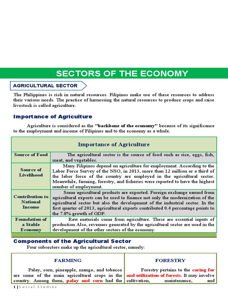 Sectors of The Economy | PDF | Cost Of Living | Agriculture