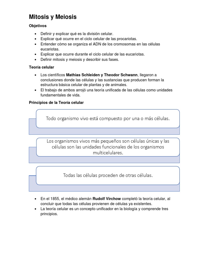 Resumen Mitosis y MeiosIS | Descargar gratis PDF | Cromosoma | Mitosis