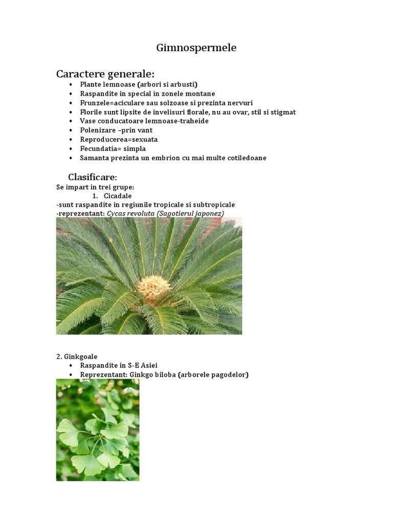 Gimnospermele | PDF