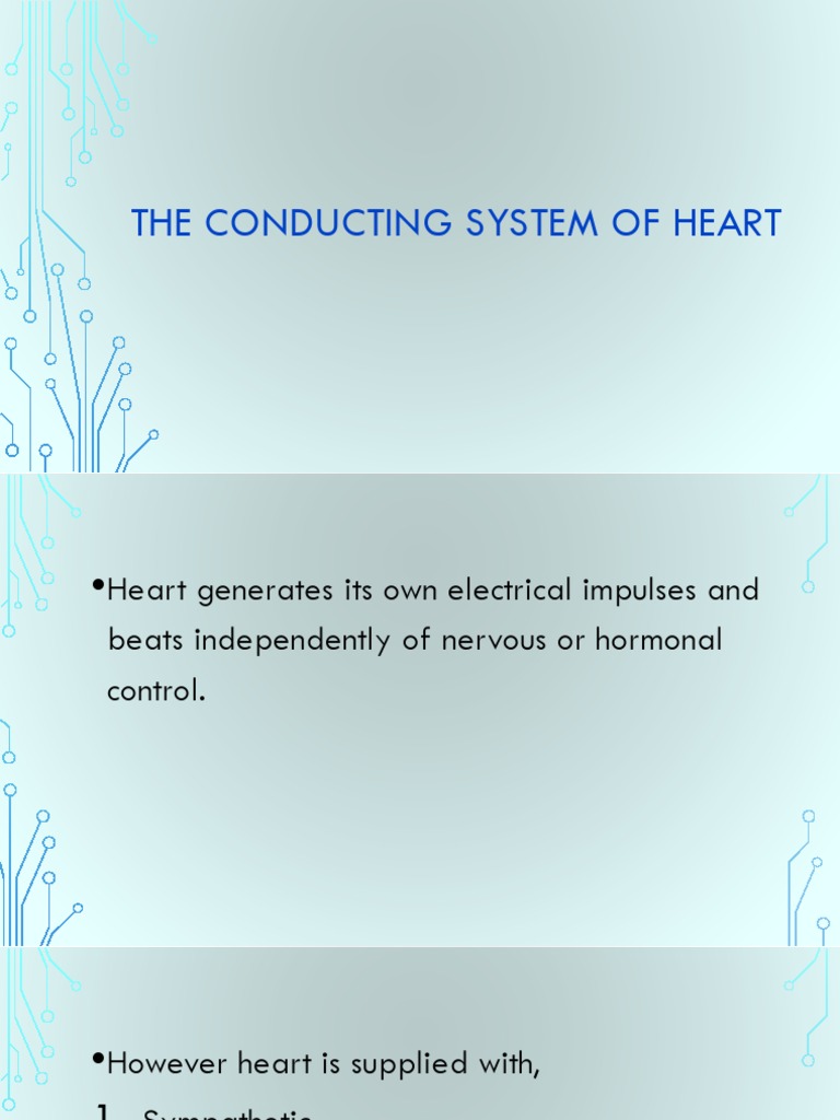 Conducting System of Heart | PDF | Atrium (Heart) | Heart