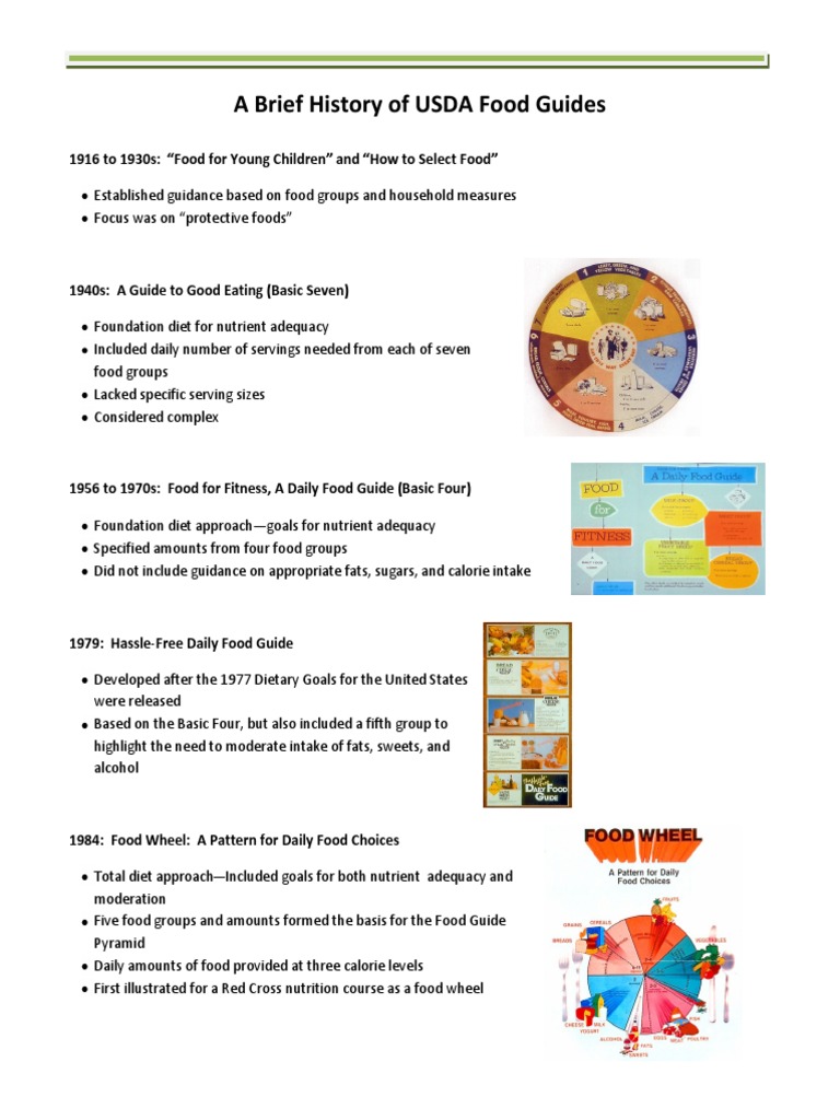 History of USDA Food Guides | PDF | Health Promotion | Nutrition