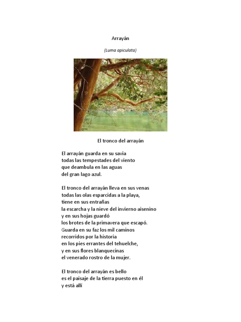 El alma del Arrayán | PDF