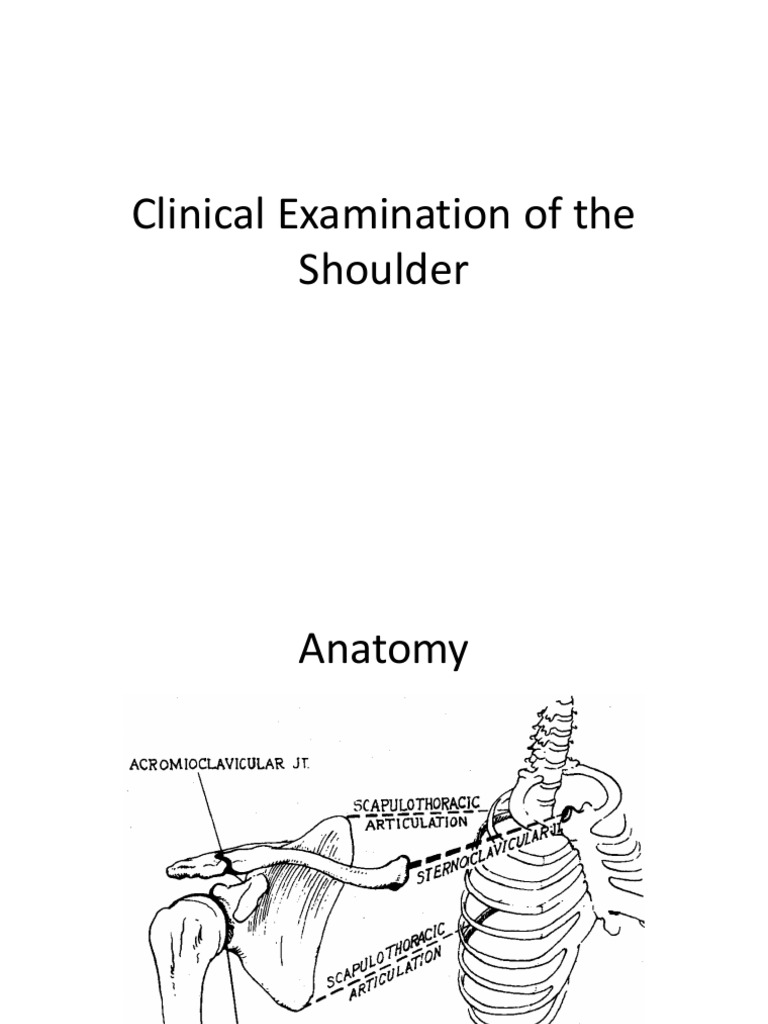 Clinical Examination of The Shoulder | PDF | Anatomical Terms Of Motion ...