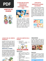 Triptico de La Higiene Personal | PDF