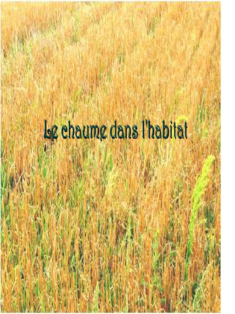 Chaume | PDF | Toit | Bâtiment (construction)