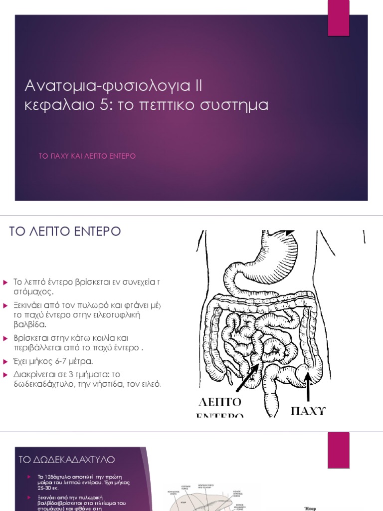 κεφαλαιο 5 μαθημα 3 | PDF