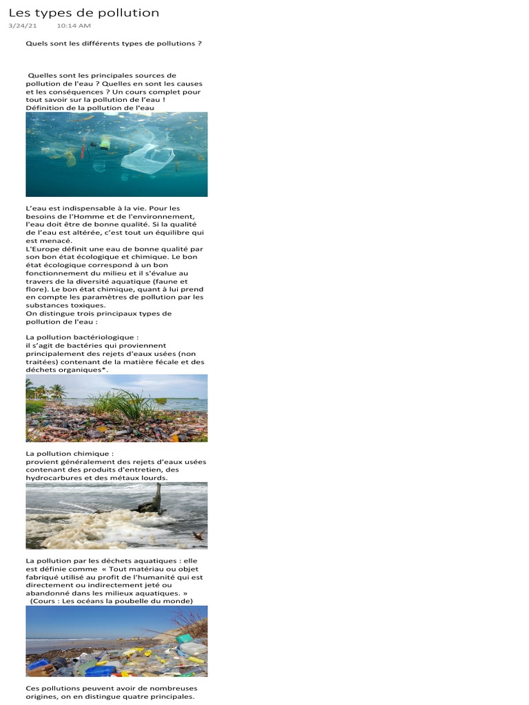 Les Types de Pollution | PDF