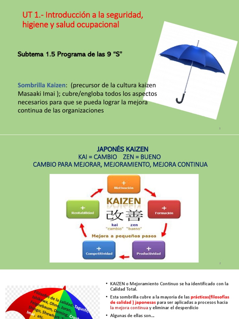 1.5 Programa de Las 9 S PDF | PDF | Lean Manufacturing | Business