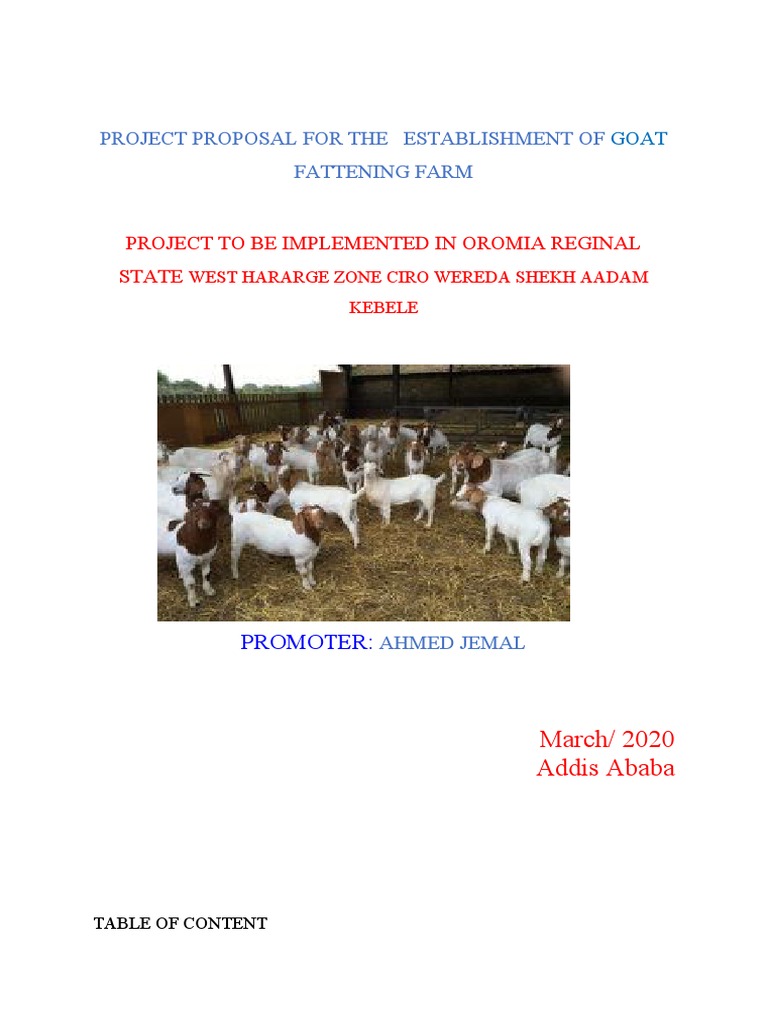 Goat Fattening Farm Project Proposal | PDF | Goat | Meat