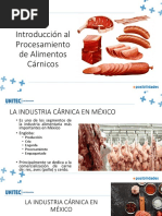 Proceso de Rigor Mortis y Alteraciones en La Calidad de La Carne | PDF ...