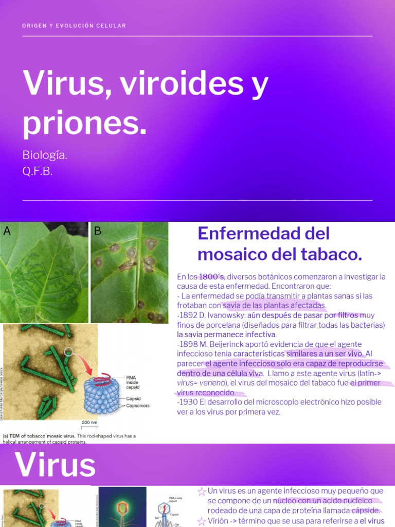 Virus, Viroides y Priones | PDF | Virus | Bacteriófago