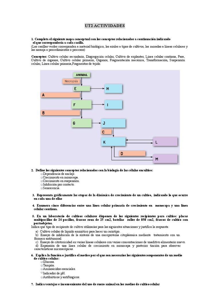 UT2 - Actividades Repaso | PDF | Cultivo de células | Biología Celular)