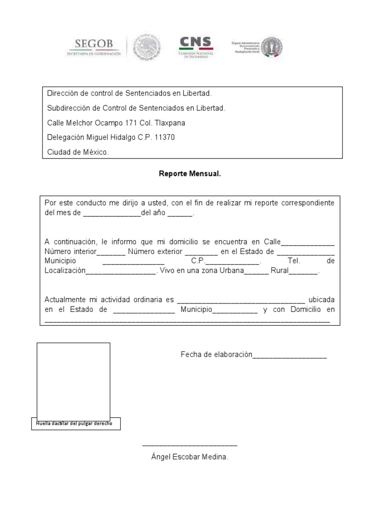 Reporte Mensual Cereso | PDF