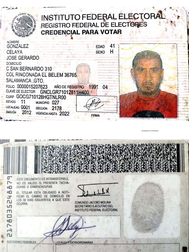 Identificación Oficial | PDF