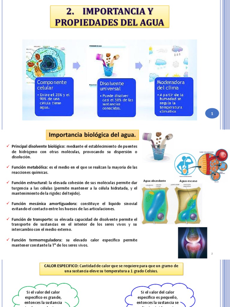 Importancia y Propiedades Del Agua | PDF | Agua | Calor