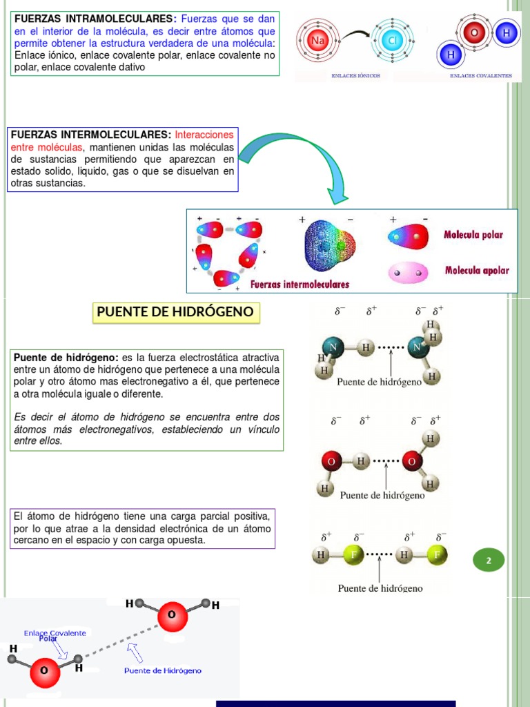 Puente de Hidrogeno y Fuerzas de Van Der Waals | PDF