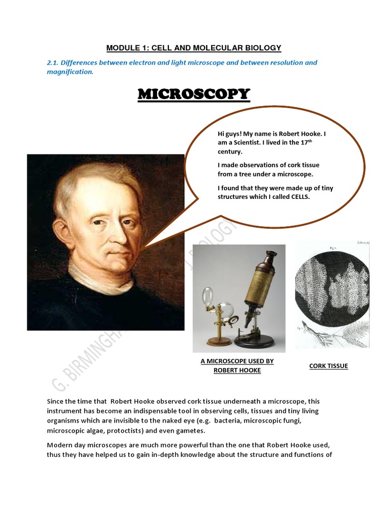 Micros | PDF | Microscope | Electron Microscope