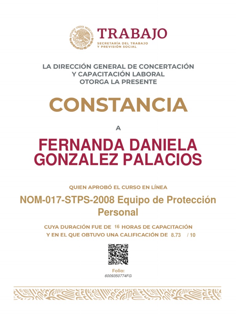 Constancia de La NOM-017 | PDF