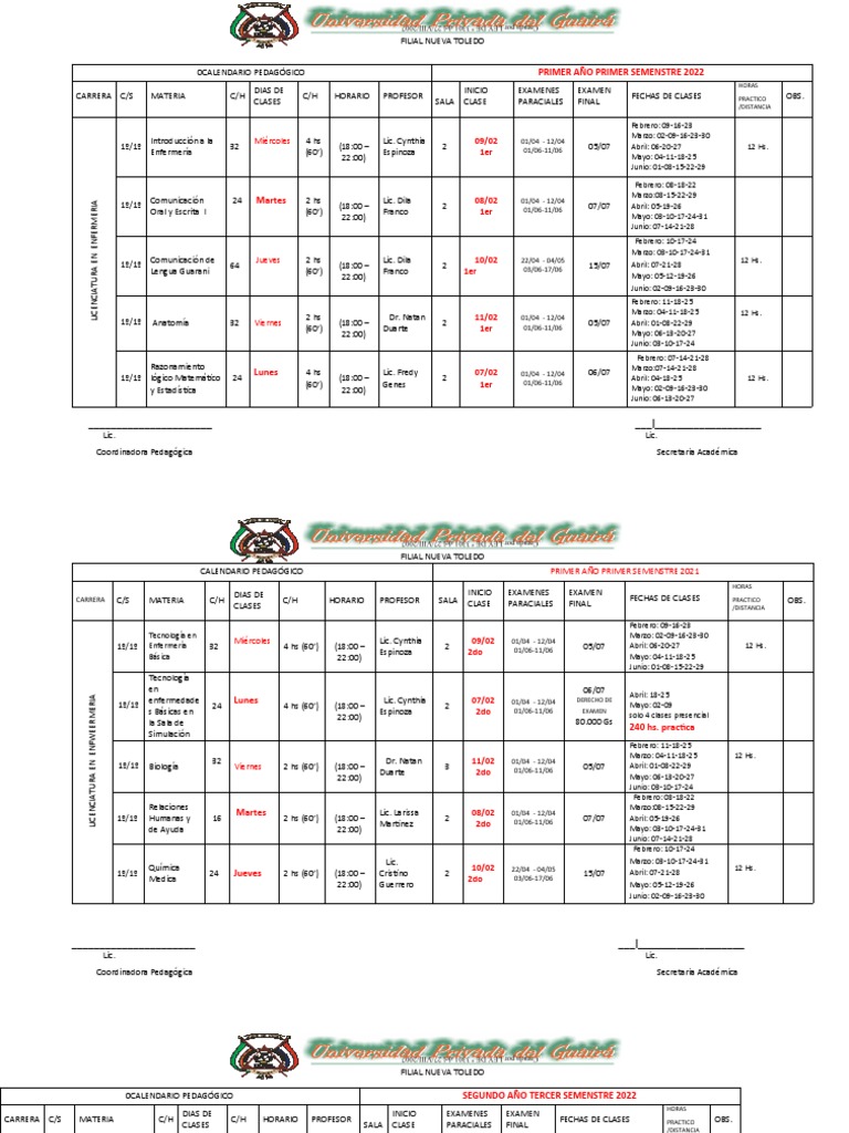 Cronograma Enfermeria - 2022 | PDF | Ciencias de la Salud | Medicina