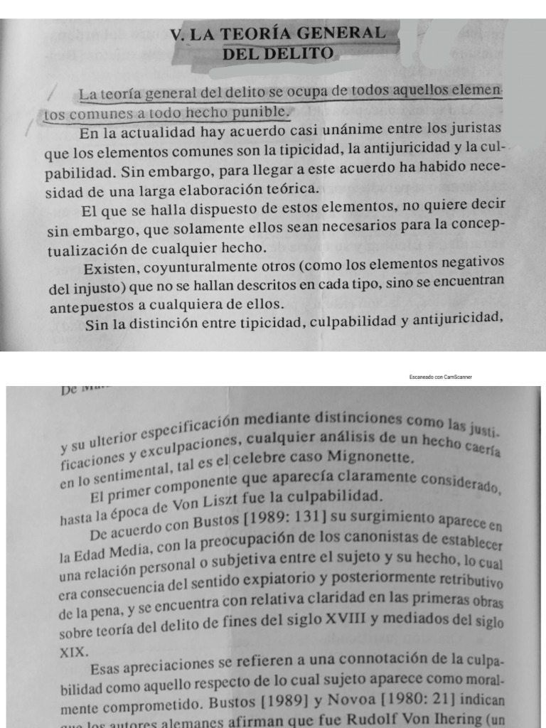 16-10-+21+teor%C3%ADa+general+del+delito | PDF