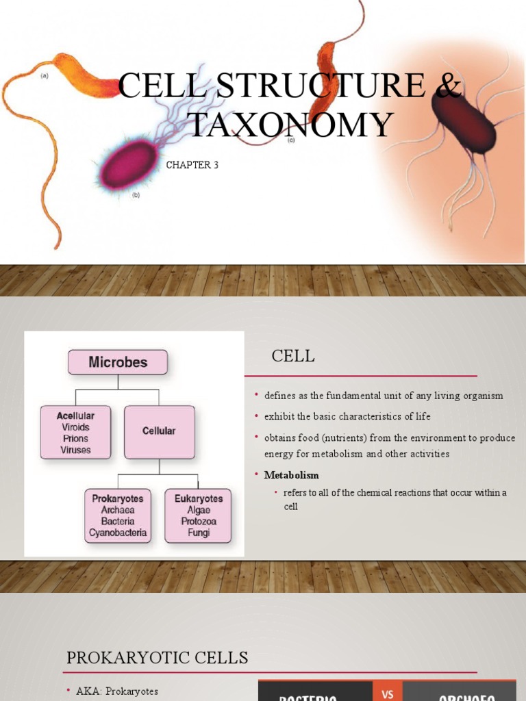chapter-3-CELL STRUCTURE TAXONOMY | PDF | Cell (Biology) | Bacteria