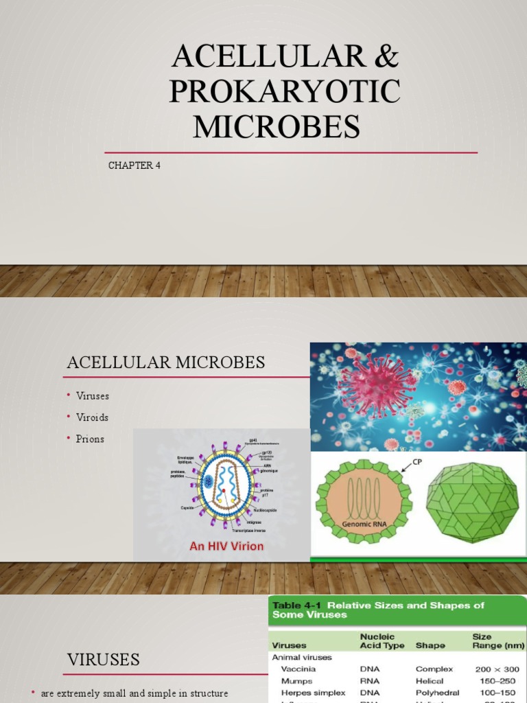 Overview of Acellular Microbes | PDF | Virus | Bacteriophage
