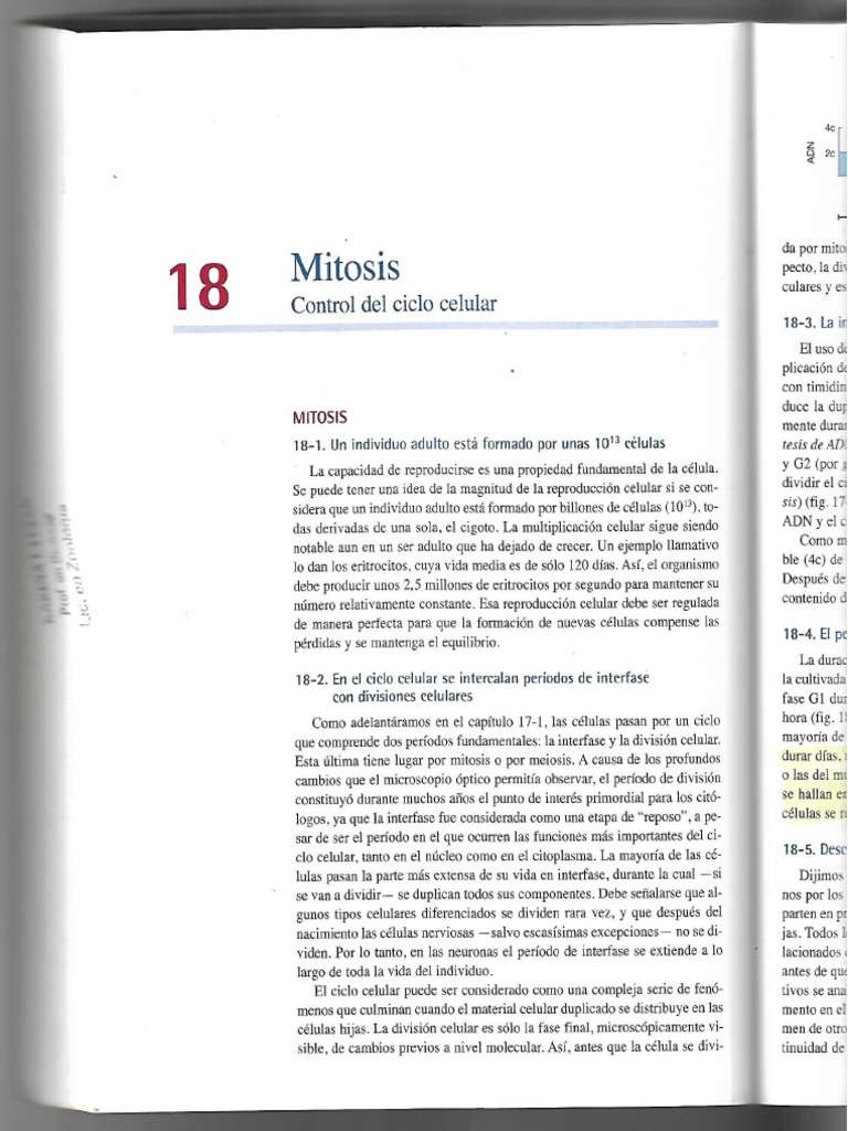 Cap 18 - Ciclo Celular Mitosis - de Robertis | PDF