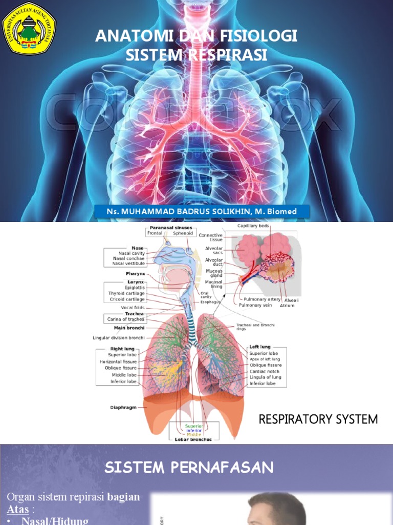 SISTEM PERNAFASAN | PDF