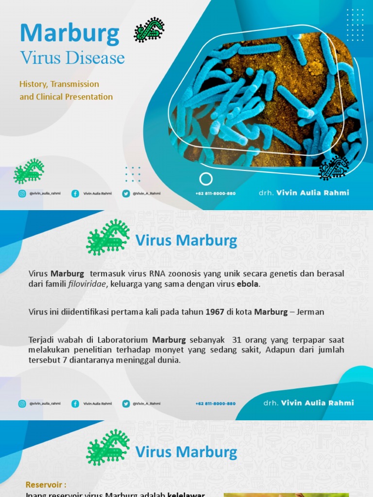 Marburg Virus Disease | PDF