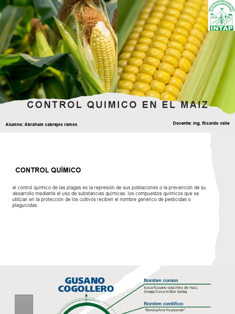 Abraham Cabrejos Ramos-Control Quimico de Maiz | PDF | Insecticida ...