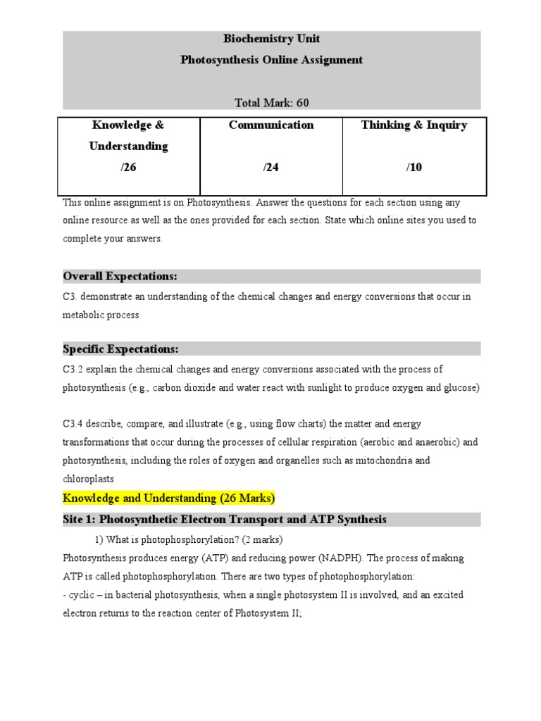 MY Bio 12 Photosynthesis Assignment | PDF | Photosynthesis | Unit Processes