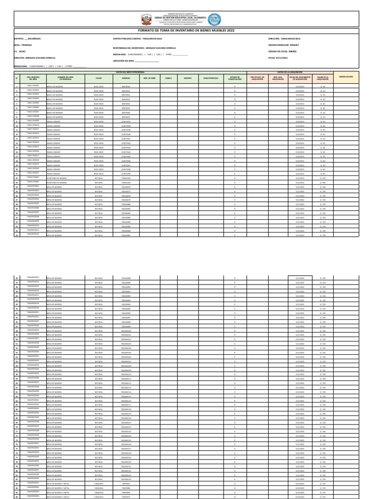 Ficha de Toma de Inventario 2022 | PDF | Ordenador portátil | Diseño