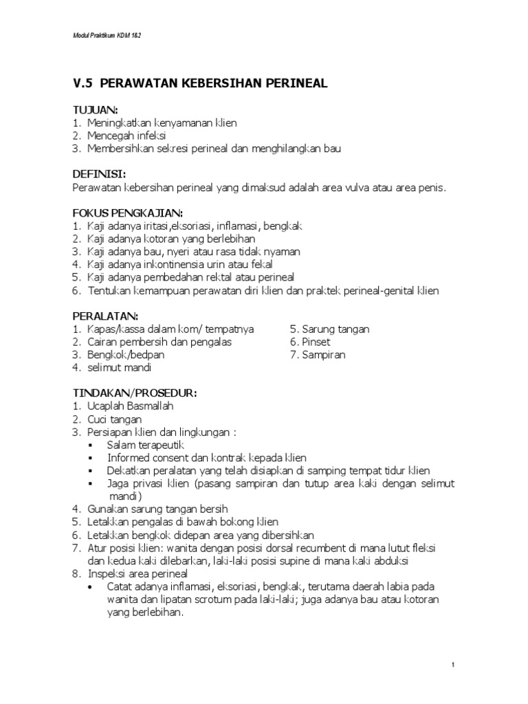 SOP Perineal Hygiene | PDF