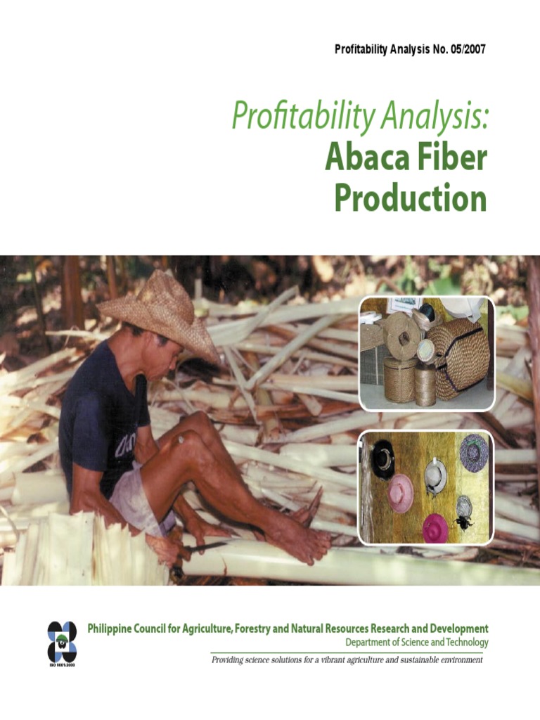 Abaca Fiber Production Profitability Analysis | PDF | Expense | Net Income