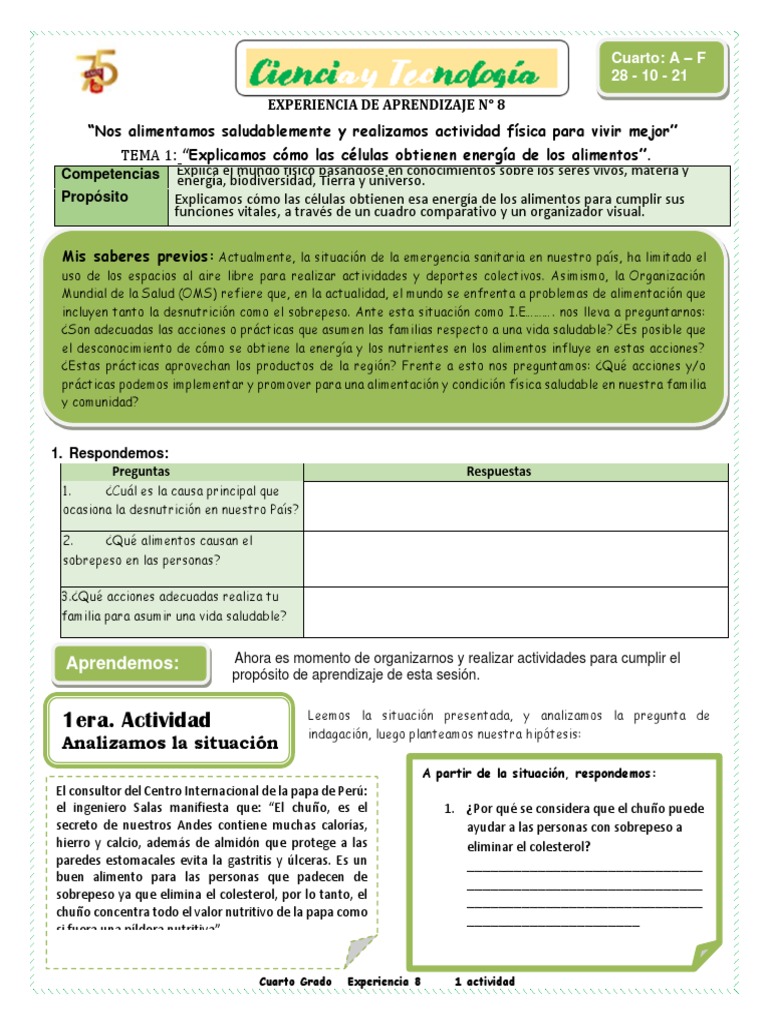 Exp8 Tema 1 - Cuarto | PDF | Respiración celular | Trifosfato de adenosina
