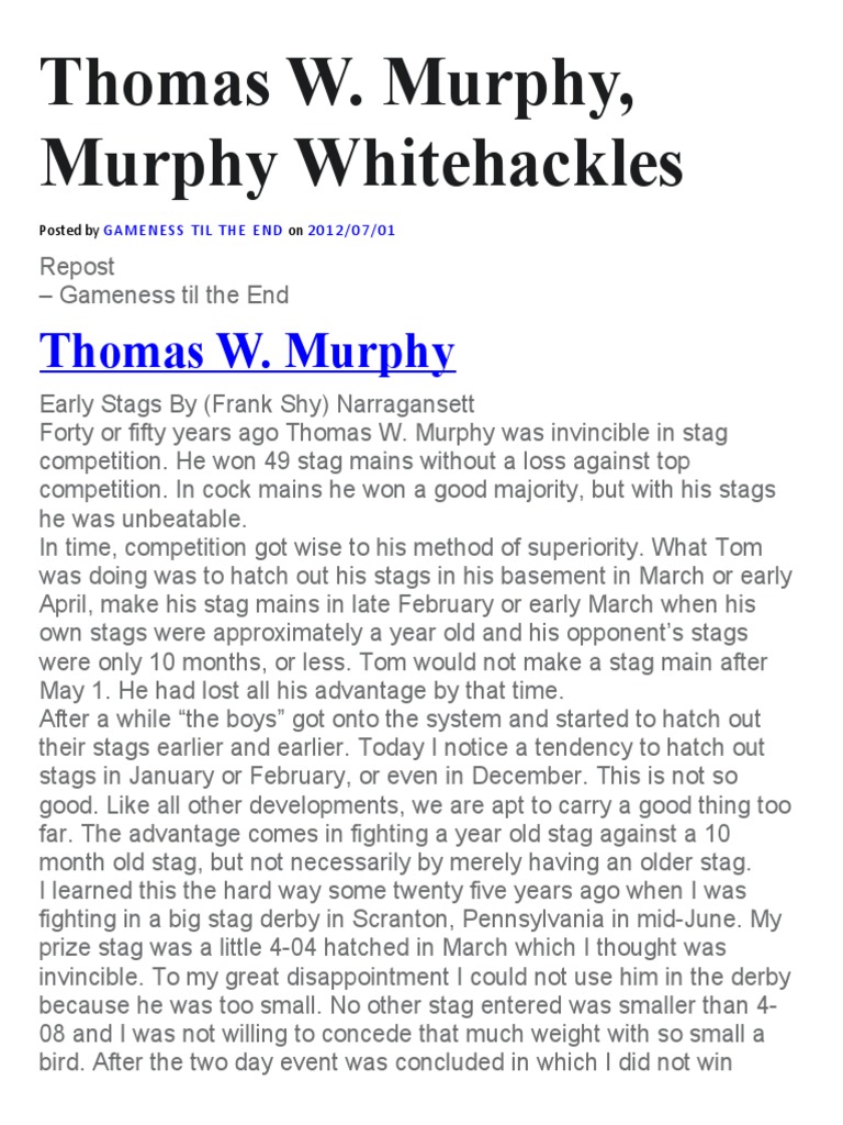 Thomas W. Murphy, Murphy Whitehackles | PDF | Chicken | Birds