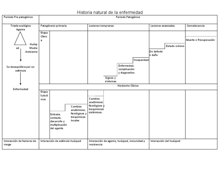 Historia Natural De La Enfermedad Pdf Especialidades Medicas