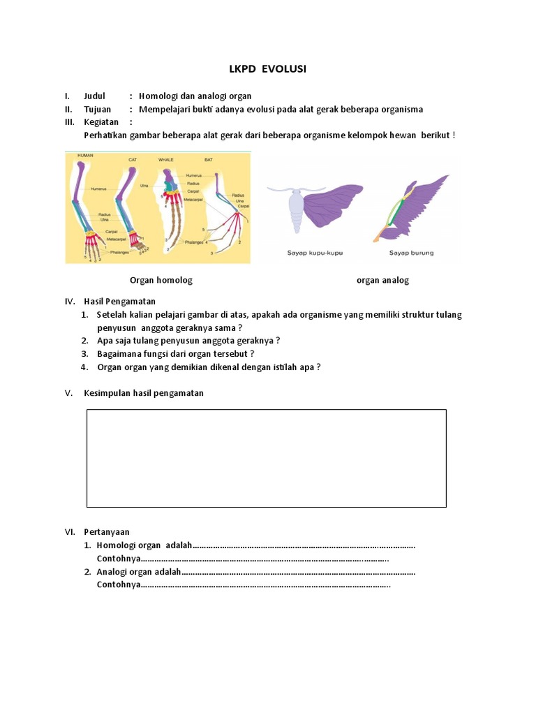 Belajar Homologi dan Analogi Organ | PDF