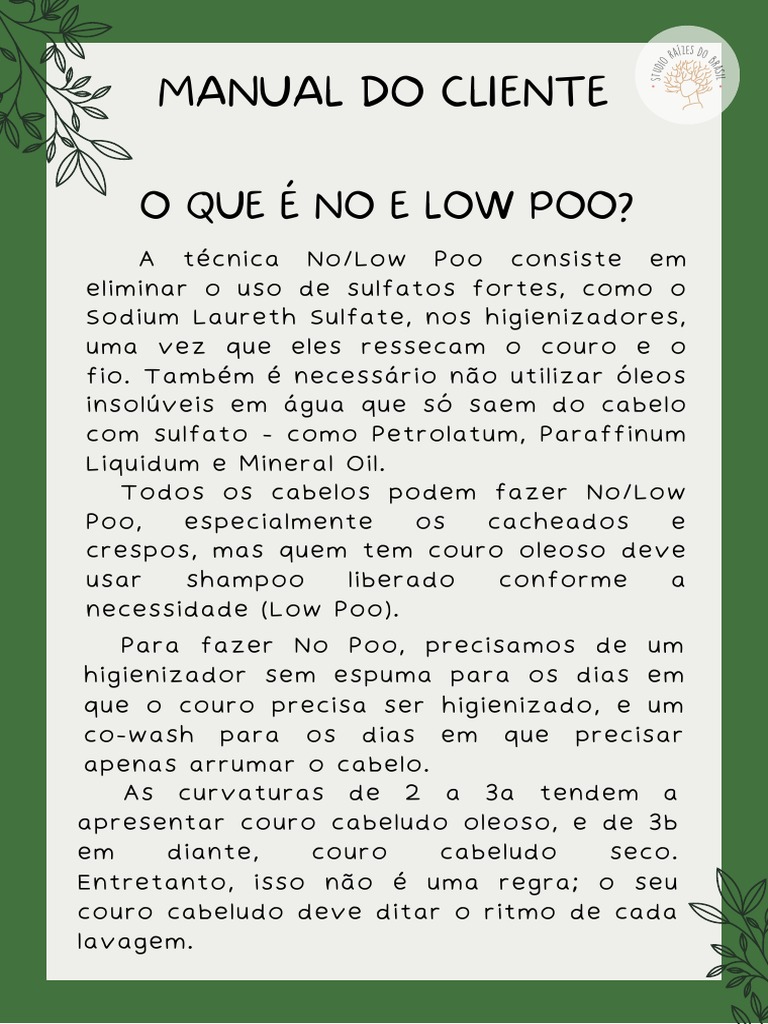 Manual Do Cliente 2023 - Studio Raízes Do Brasil | PDF | Cabelo | Proteínas