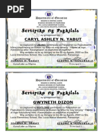 Certificate of Appreciation-Final Template - Tagalog-Edited | PDF