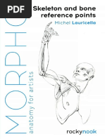 Morpho Simplified Forms Anatomy For Artists | PDF