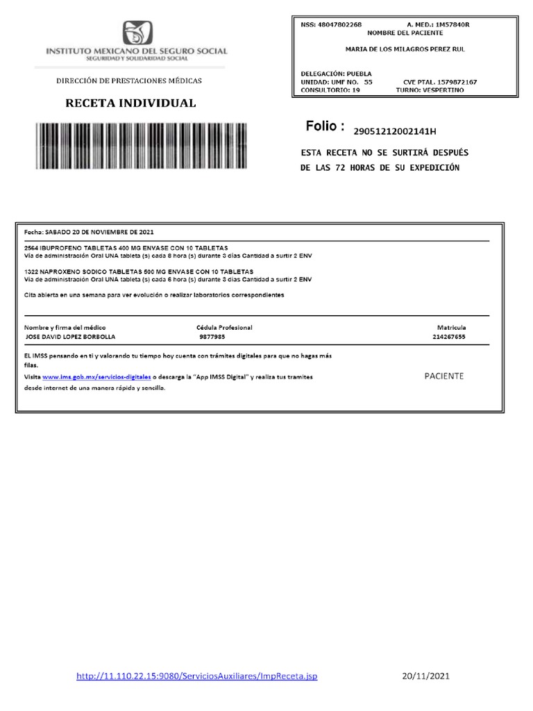 Receta-IMSS Editable | PDF