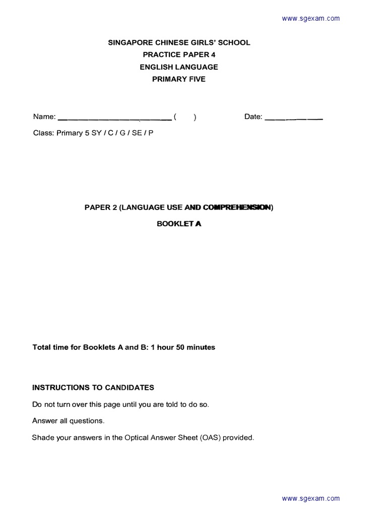 P5 English Practice Paper 4 | PDF