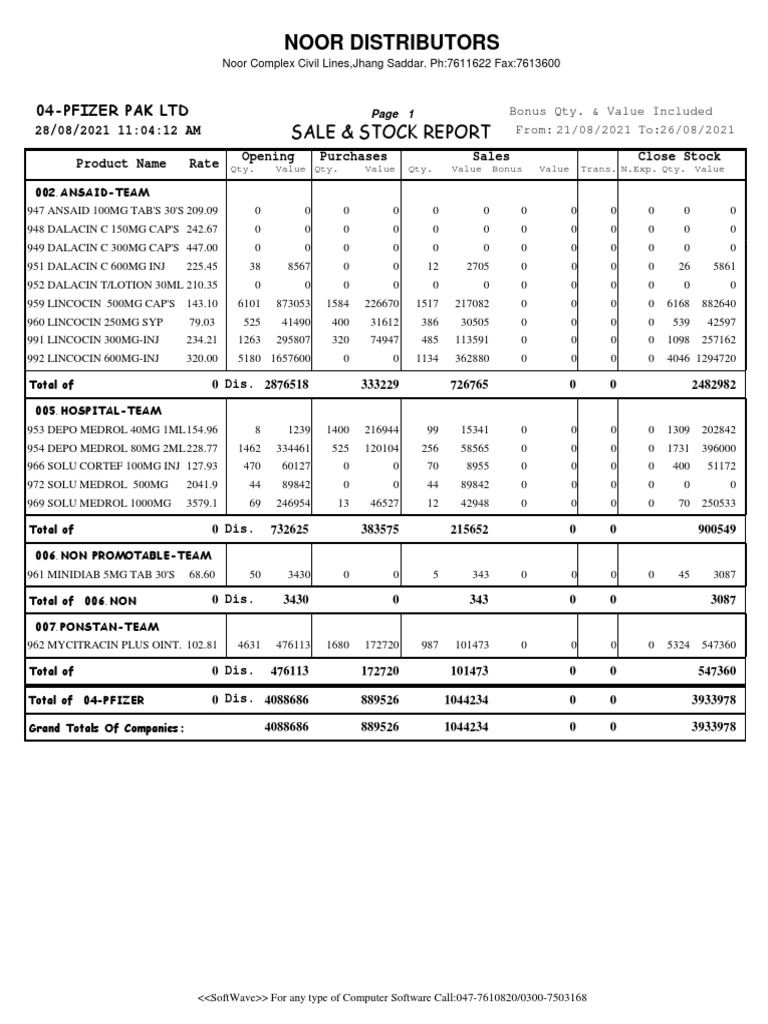 Noor Distributors: Sale & Stock Report | PDF
