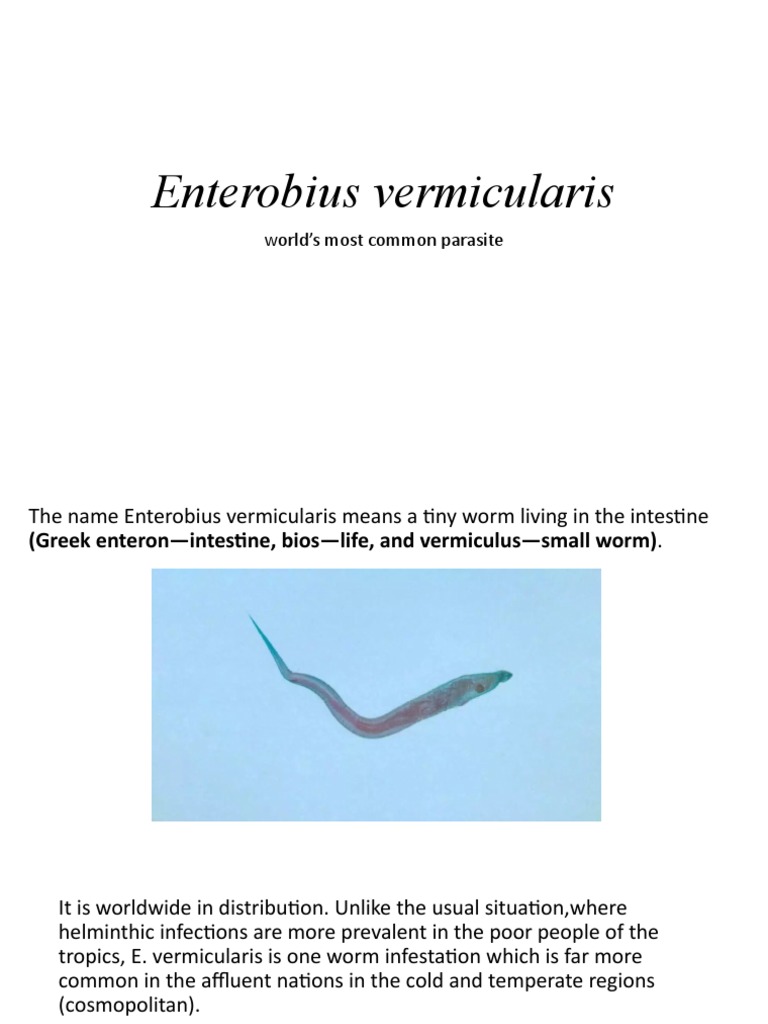 Enterobius Vermicularis | PDF | Parasitology | Clinical Medicine